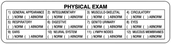 Medical Use Labels - Physical Exam Label, 4" x 1" | Devine Express