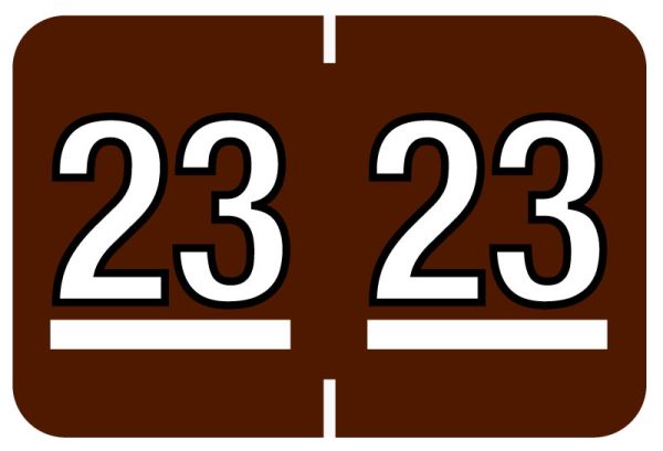 Medical Use Labels - Colwell Compatible 2023 Year Label, 1-12" x 1 ...